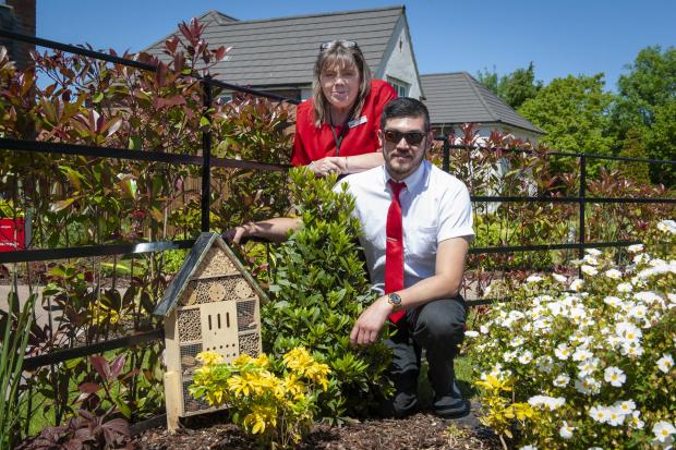 Housebuilder 'buzzing' after building special homes in Swindon