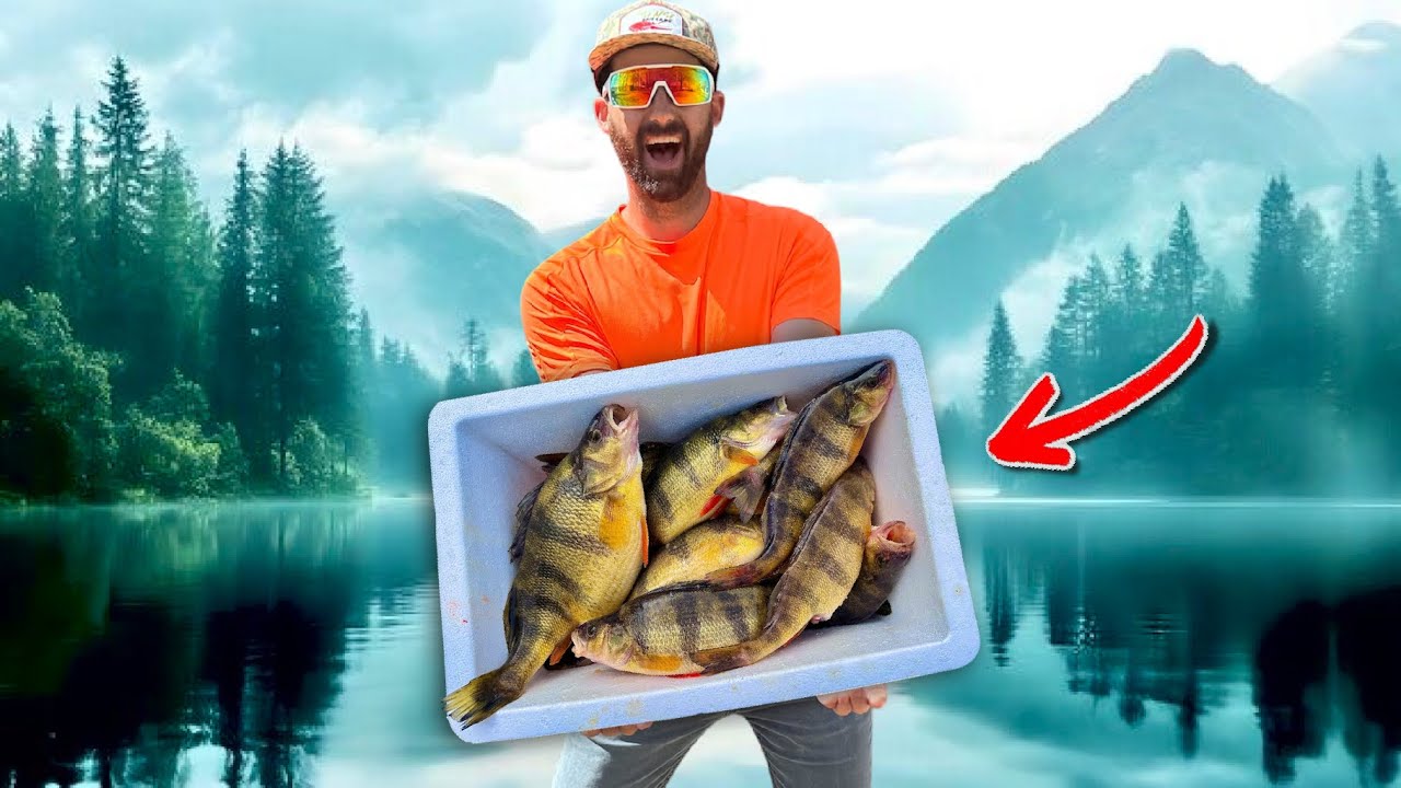 First time cooking mountain lake fish: yellow perch, trout, smallies