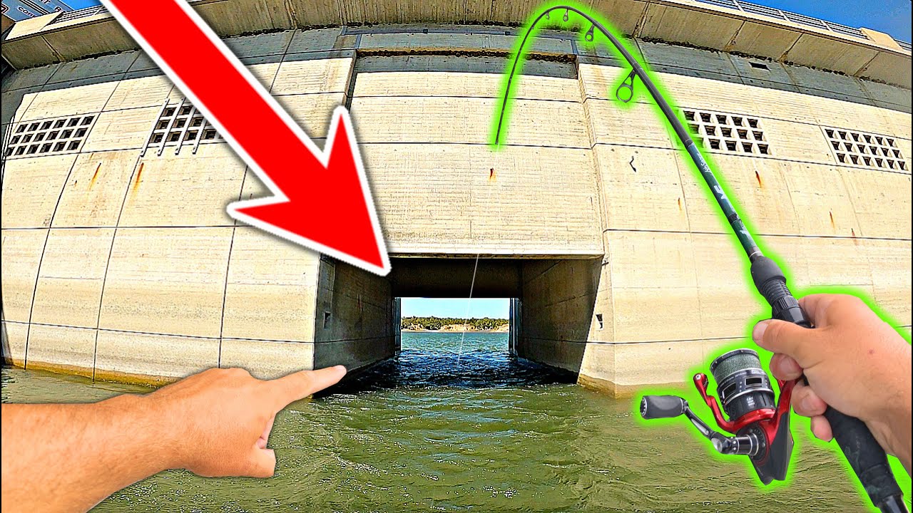 Drag-ripping fish stacked against a giant concrete spillway