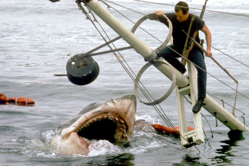 Jaws fans would have 'loved' original sequel plot which was 'rejected ...