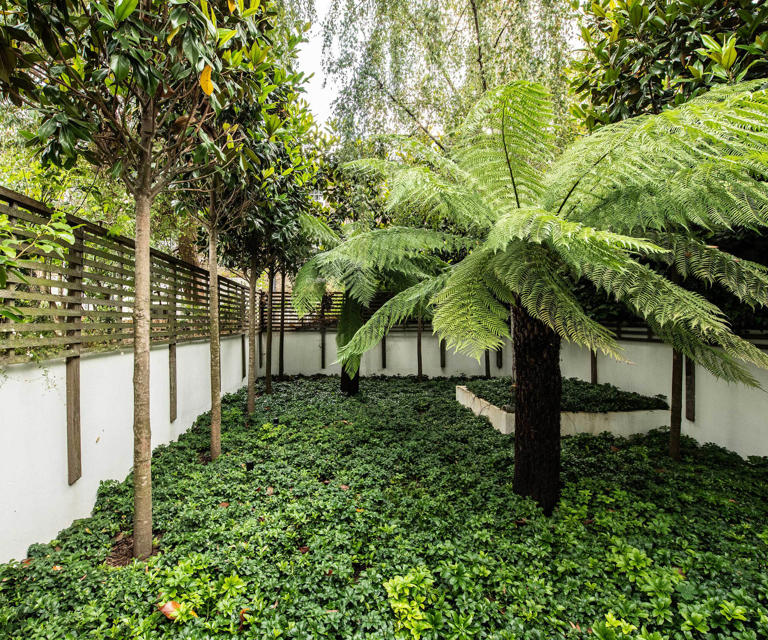 5 ground cover plants that thrive on neglect – tough, low-maintenance ...