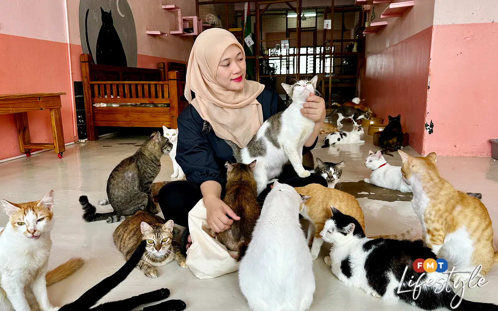 Seroja Inn: a sanctuary of hope for over 300 cats
