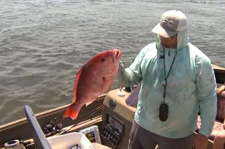 Recreational red snapper season begins along Alabama’s gulf coast
