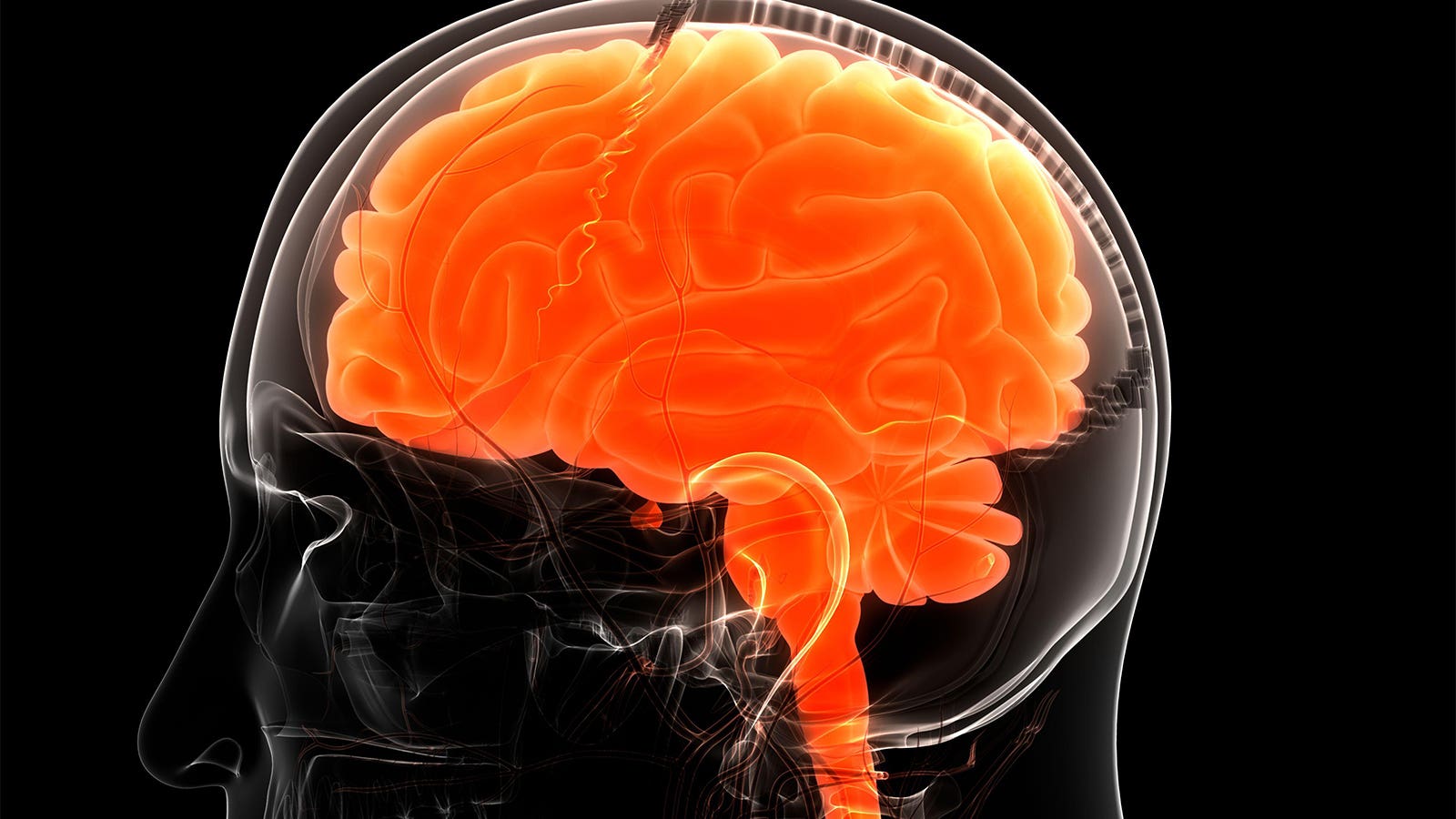 Traumatic Brain Injury Assessment Gets an Overhaul