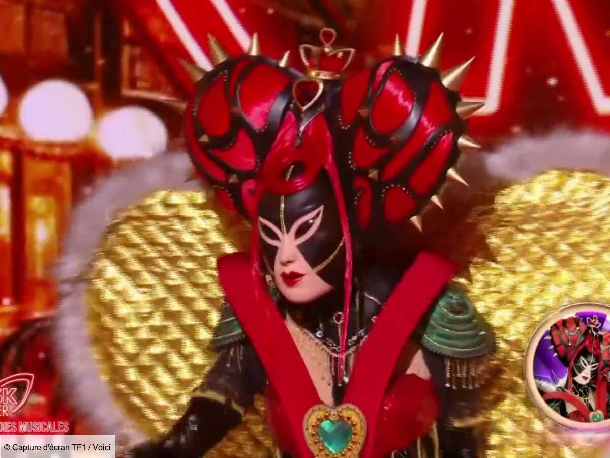 Mask Singer : découvrez quelle personnalité se cachait sous le costume ...