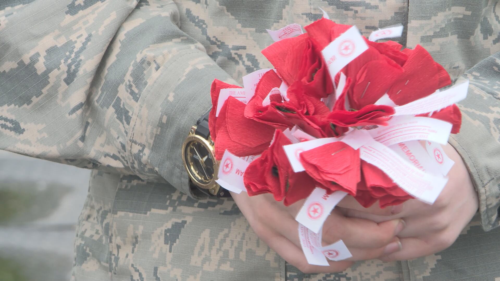 Poppies distributed throughout North Platte on National Poppy Day