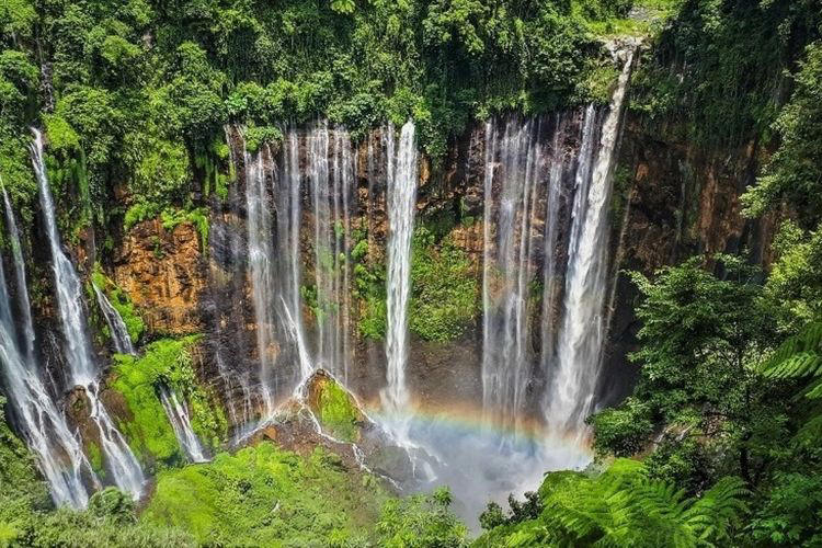 Wajib Dikunjungi! Inilah 7 Air Terjun Paling Indah dan Hits di Jawa Timur