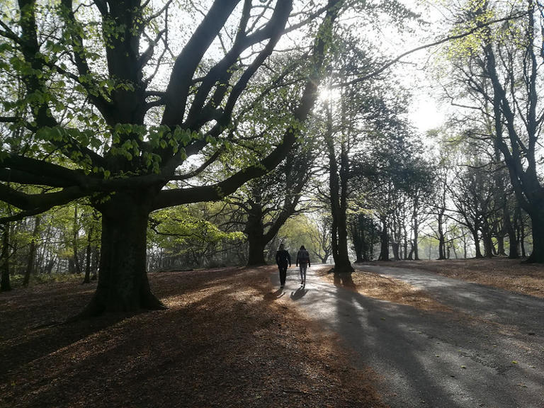 The stunning Birmingham park that's just been named one of the best in ...