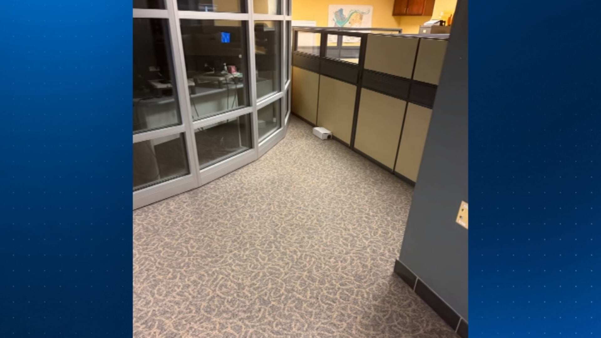 Pittsburgh Water Authority employees report rodent infestation at ...