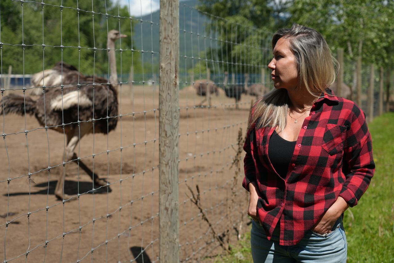Appeal court reserves decision on fate of B.C. ostrich farm as ...