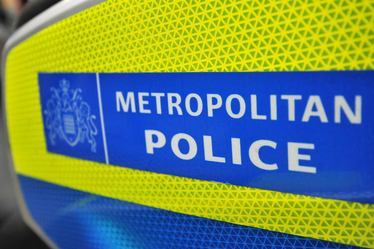 Police officers face misconduct hearing after 90-year-old woman with ...