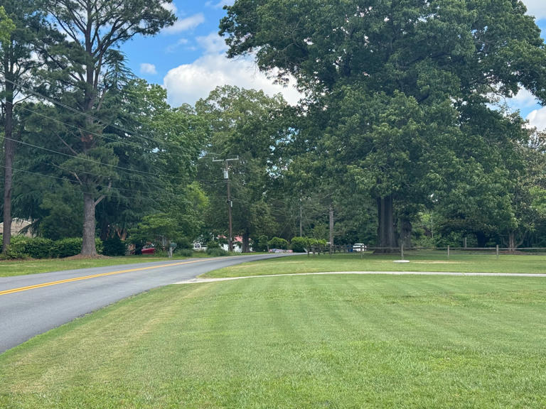 Rabid fox attacks woman in Chester neighborhood