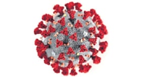 No active Covid cases in Telangana, public immunity strong: DPH