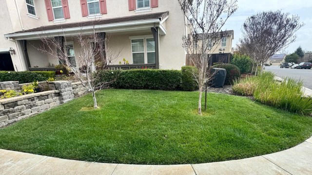 Homeowner shares shocking before-and-after photos of significant ...