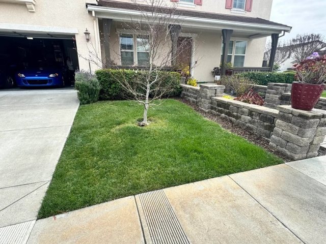 Homeowner shares shocking before-and-after photos of significant ...