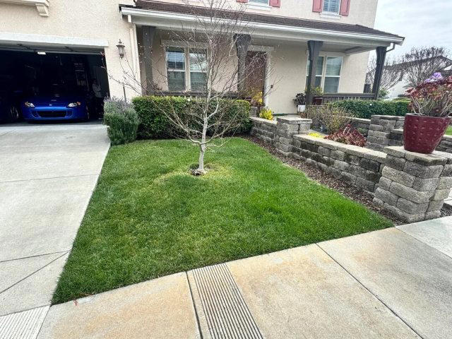 Homeowner shares shocking before-and-after photos of significant ...