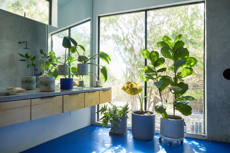 This Prismatic L.A. Home Is One Big Never-Ending Art Project