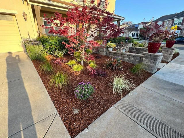 Homeowner shares shocking before-and-after photos of significant ...