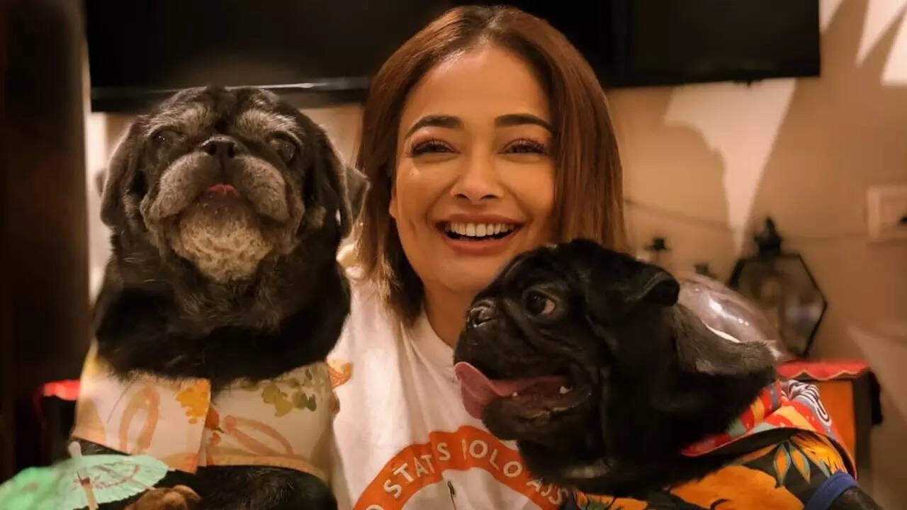 Kiran Rathod breaks her silence on Deep Fake video scandal; Urges fans ...