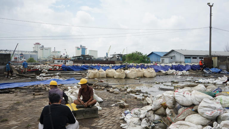 Hitung-hitungan Kerugian Pagar Tanjung Emas Semarang Jebol Akibat Rob