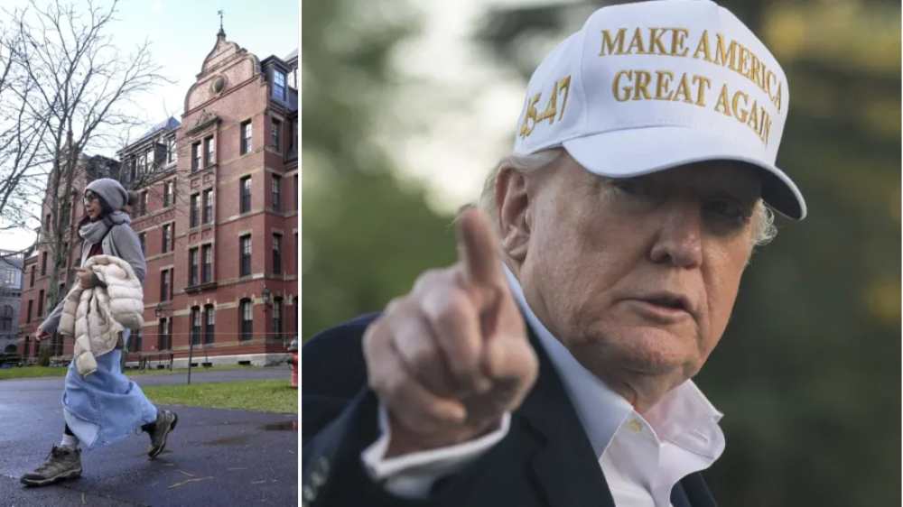 ‘We are absolutely terrified’, say UK Harvard students silenced by Trump