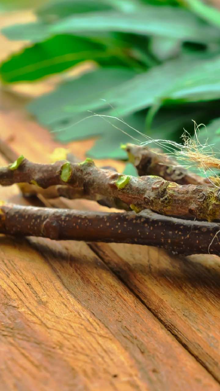 How Datun Is Beneficial for Oral Health?