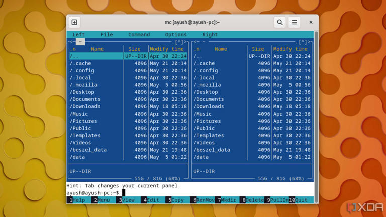 This terminal-based file manager for Linux beats every alternative out ...