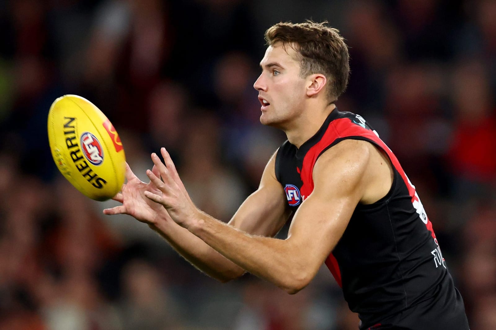 Essendon provide latest on injured pair