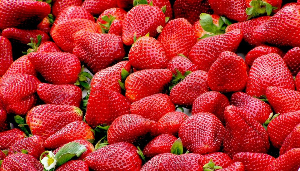 Na rynkach pojawiły się pierwsze polskie truskawki. Cena powala