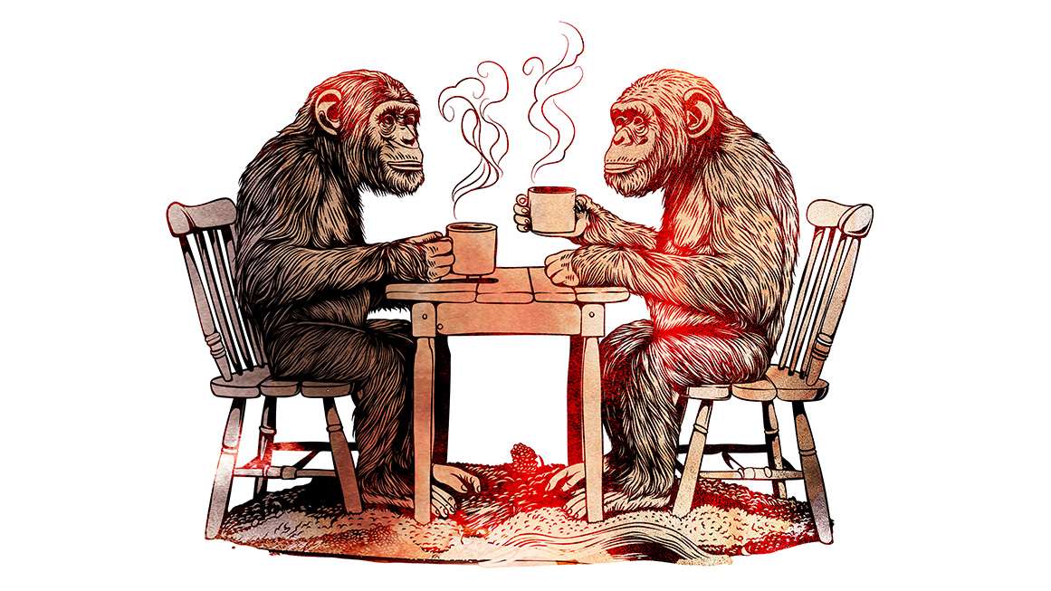 Cocaine Hippos, Monkey Copyrights, and a Horse Named Justice: The ...