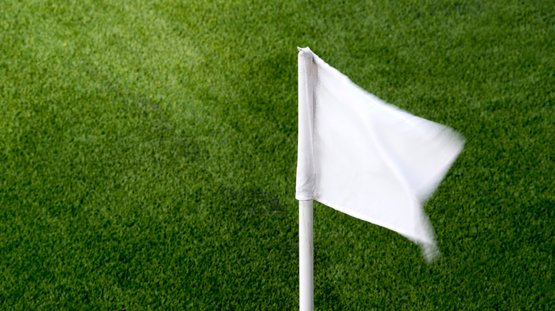 The Different Colored Lawn Flags & What They Mean