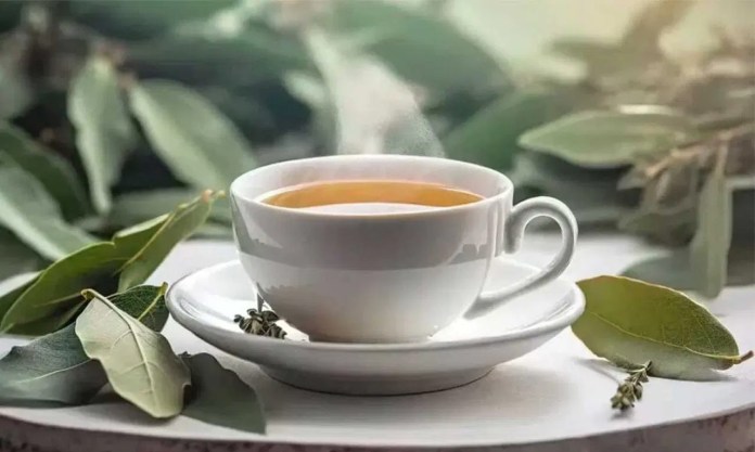 La dieta del laurel: el secreto natural para quemar grasa rápido