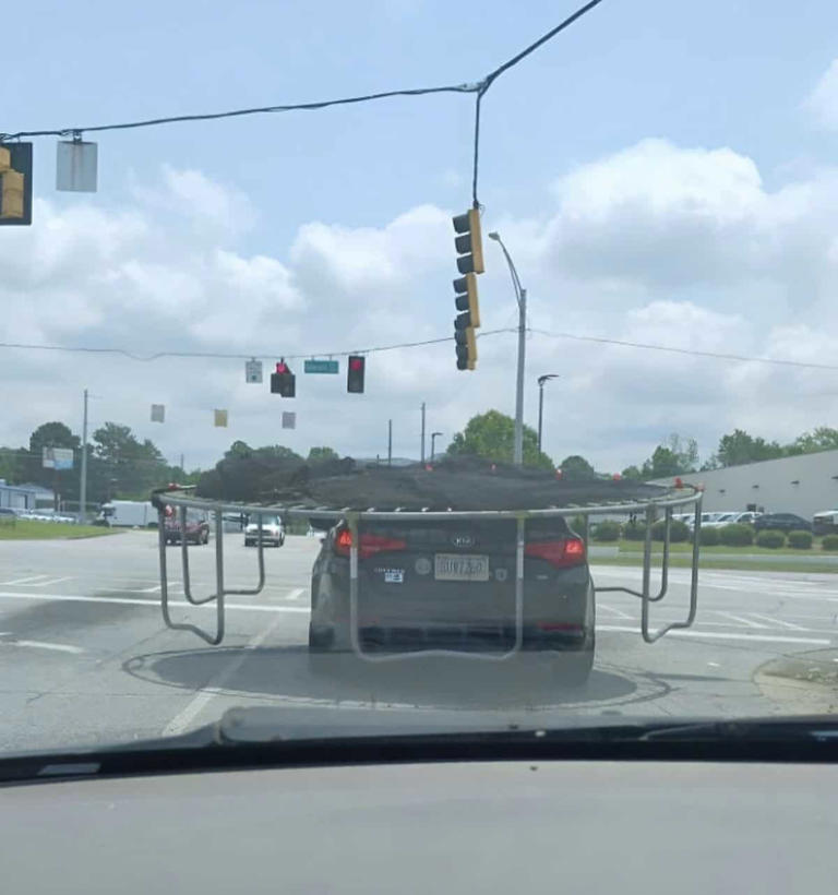 20 Funny Times Out-Of-Place Objects Turned Normal Photos Into ...