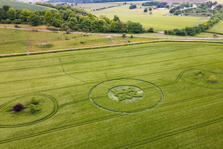 'Celtic' crop circles appear in world-famous UFO hotspot in UK near Stonehenge