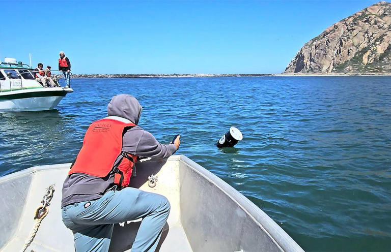 Cal Poly students design device that uses waves to charge batteries