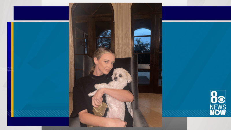 Stand-Up Roundtable Preview: Jamie Foxx, Sarah Silverman, Chelsea ...