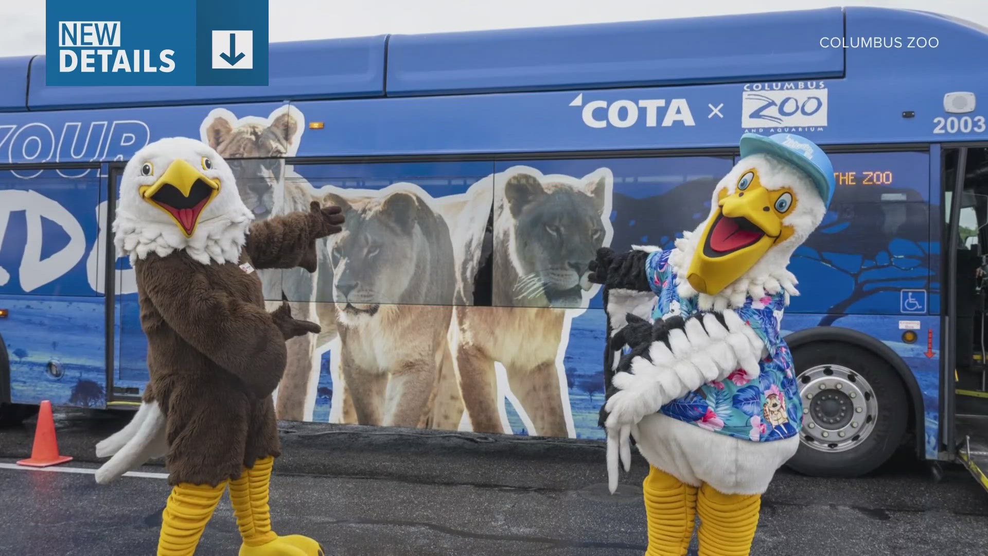 Columbus Zoo bus to offer daily service, discounted admission