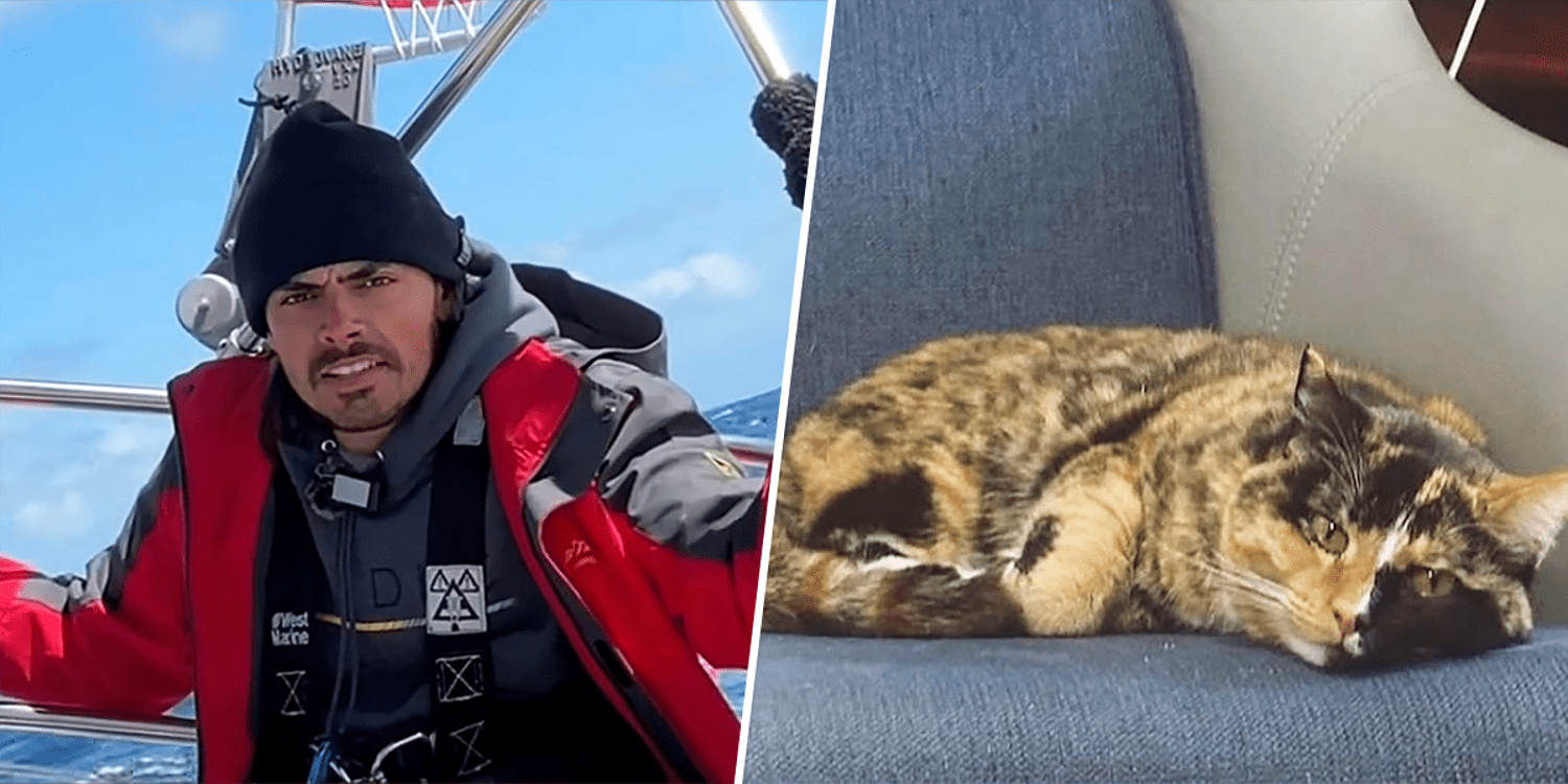 Man Who Quit Corporate Job to Sail the World With His Cat Arrives in Hawaii