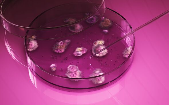 Flesh-eating killer fungus spreading fast as world warms and experts ...