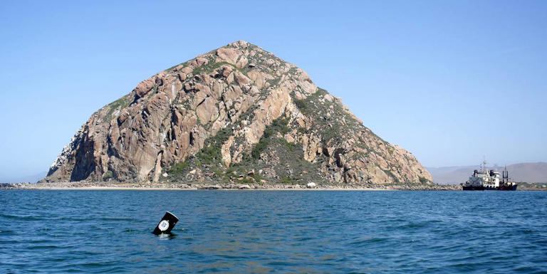 Cal Poly students design device that uses waves to charge batteries