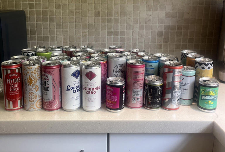 I tried 50 tinnies and found the best canned drink for summer