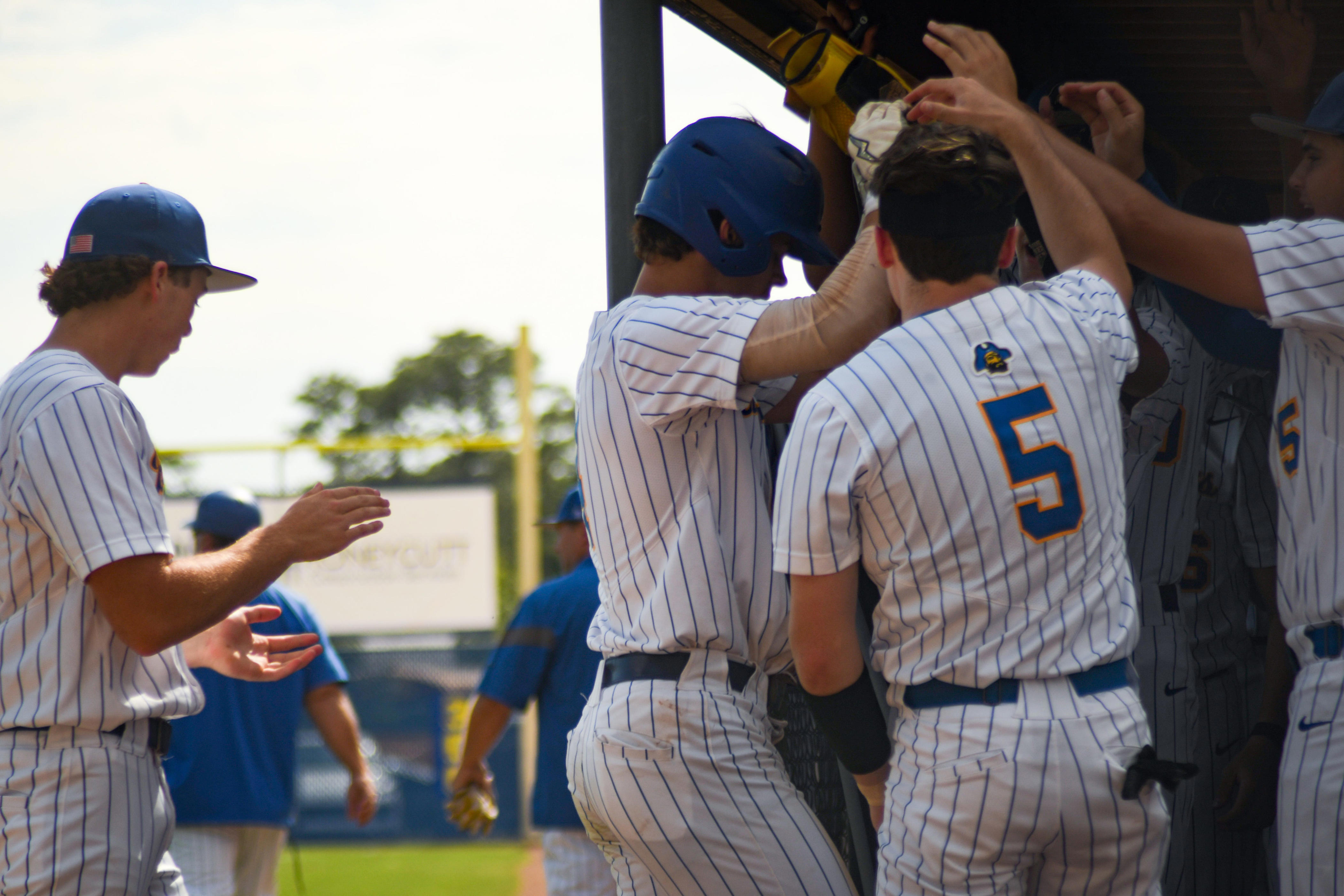 'The guys have changed the culture': Laney baseball's state final loss ...