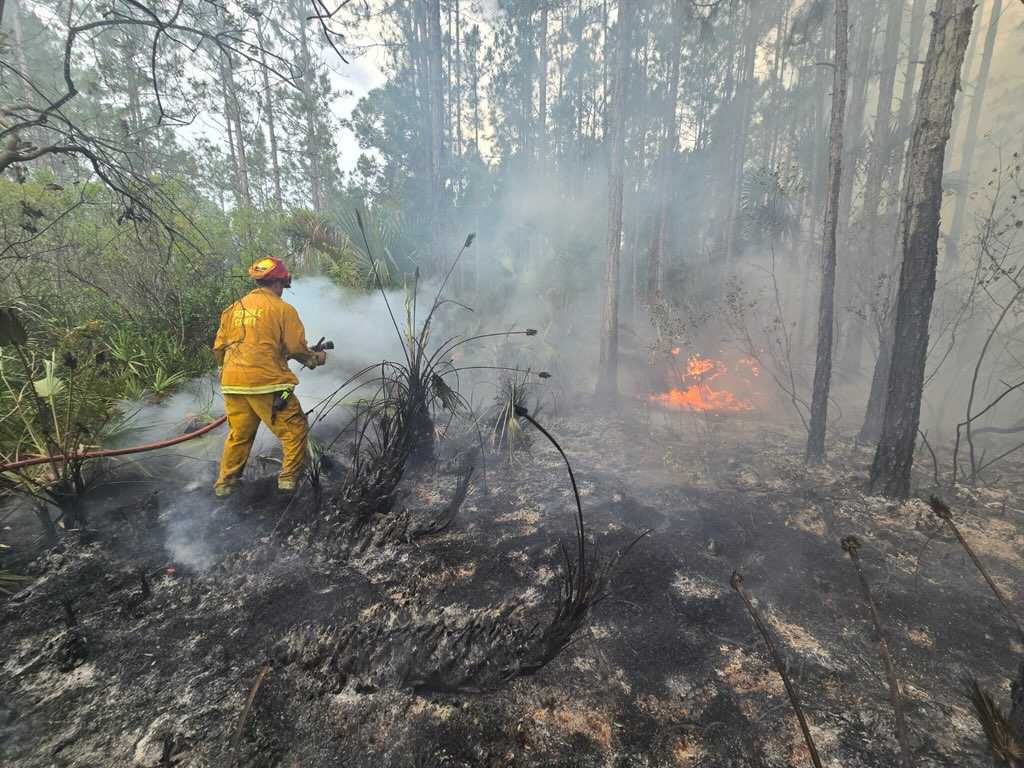Fire crews work to contain large brush fire in Geneva