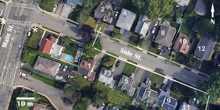 Modern Hunter: This Young Hawk Learned To Use Traffic Lights To Find Prey