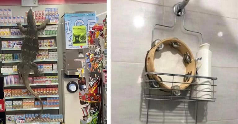 20 Funny Times Out-Of-Place Objects Turned Normal Photos Into ...