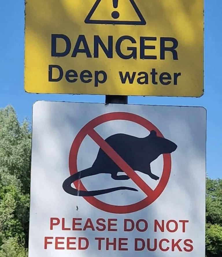 20 Funny Times Out-Of-Place Objects Turned Normal Photos Into ...