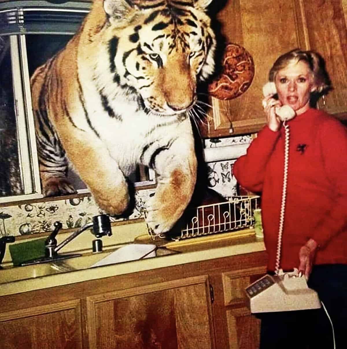 20 Funny Times Out-Of-Place Objects Turned Normal Photos Into ...