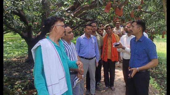 Lko DM visits Malihabad, spotlights ‘Kavach’ to boost mango exports