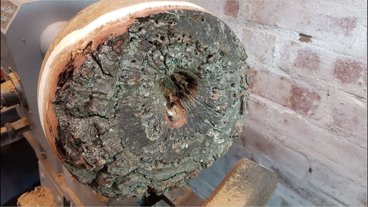 Woodturning The Lost Limb Uncovered