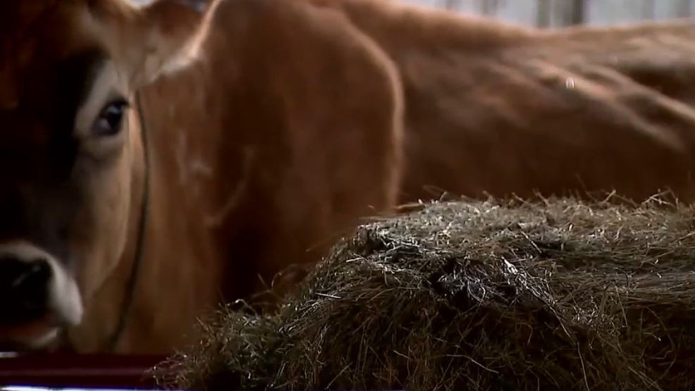 Maine's PFAS regulation hit as Trump cuts federal funding